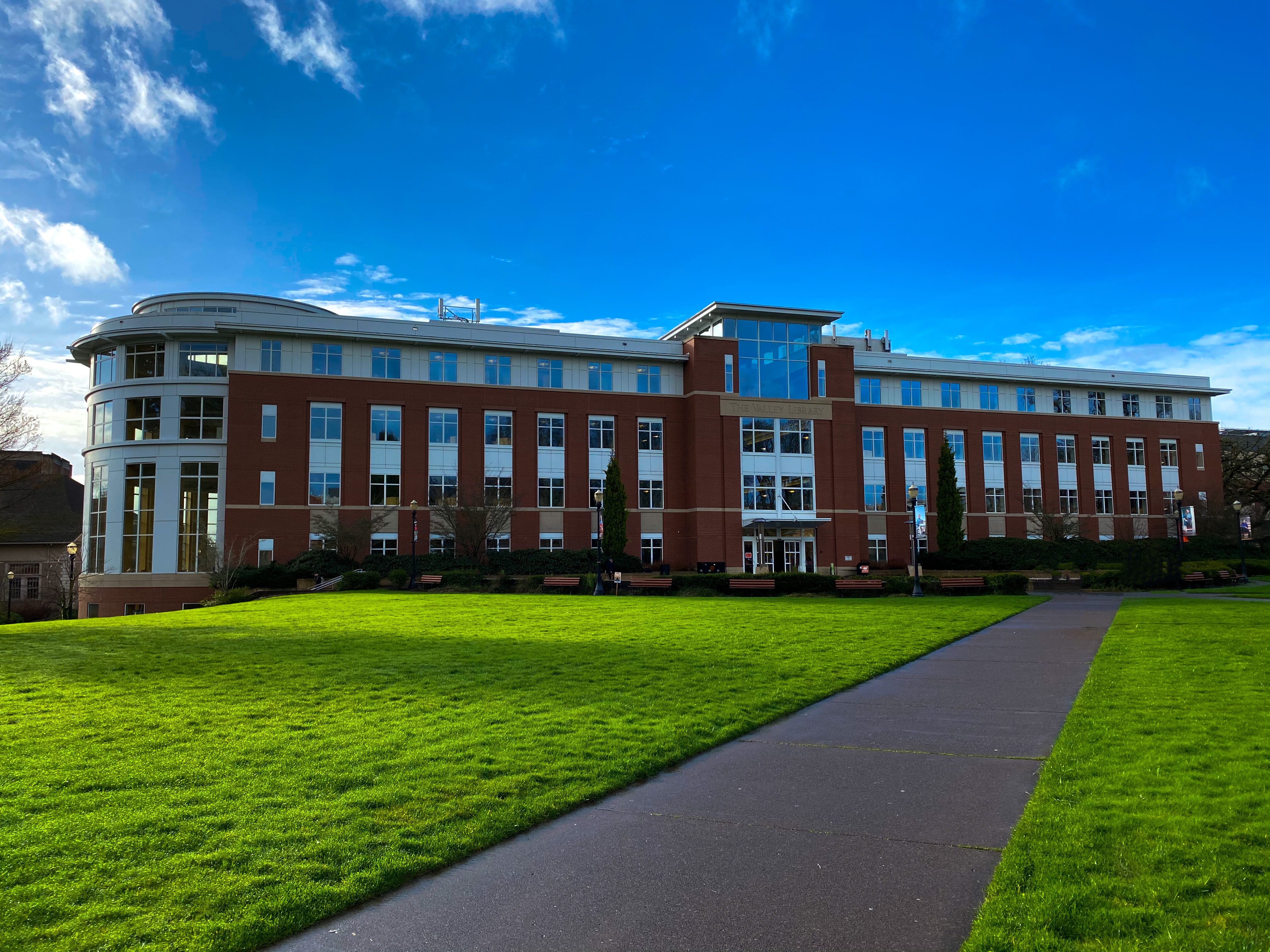 60+ College Campus Business Ideas You Can Start Today [2026] - Starter