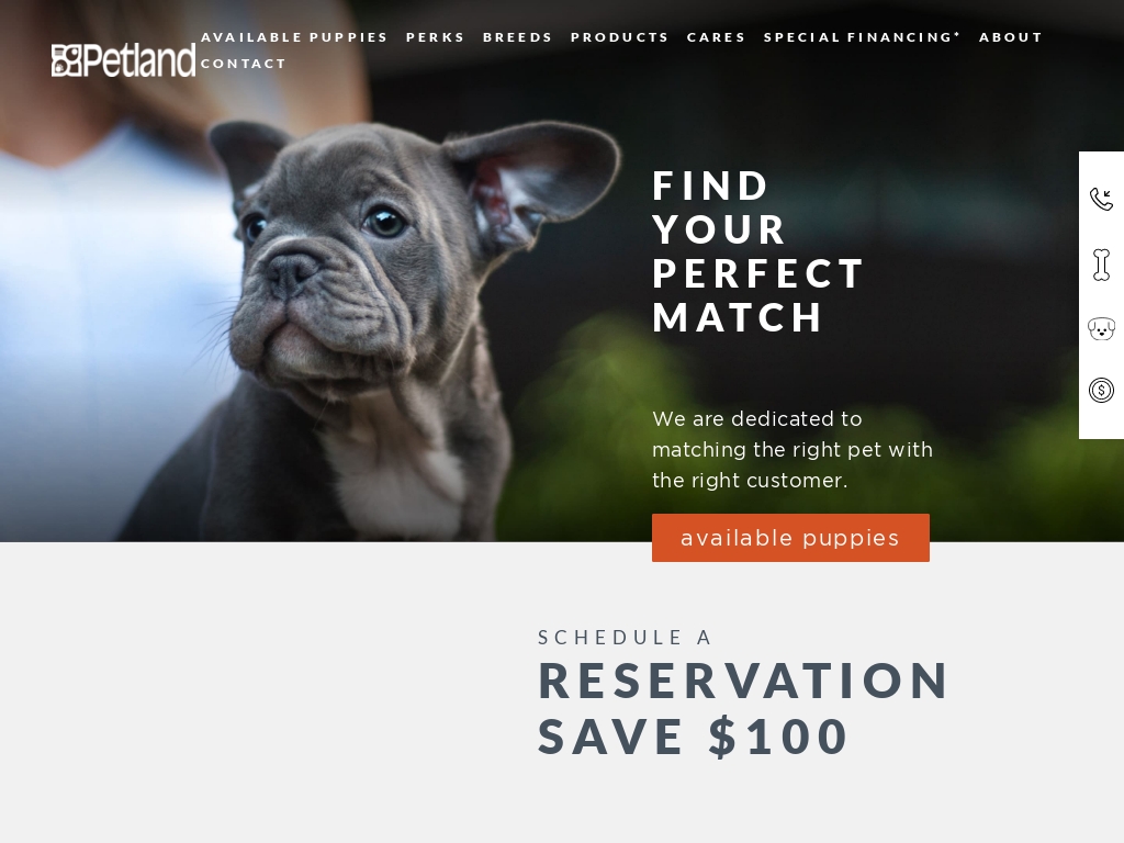 24 Best Pet Store Website Designs To Inspire You [2024] - Starter