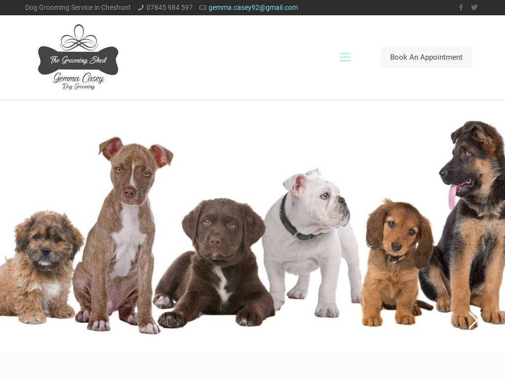 16 Best Dog Grooming Web Designs To Inspire You [2024] - Starter Story
