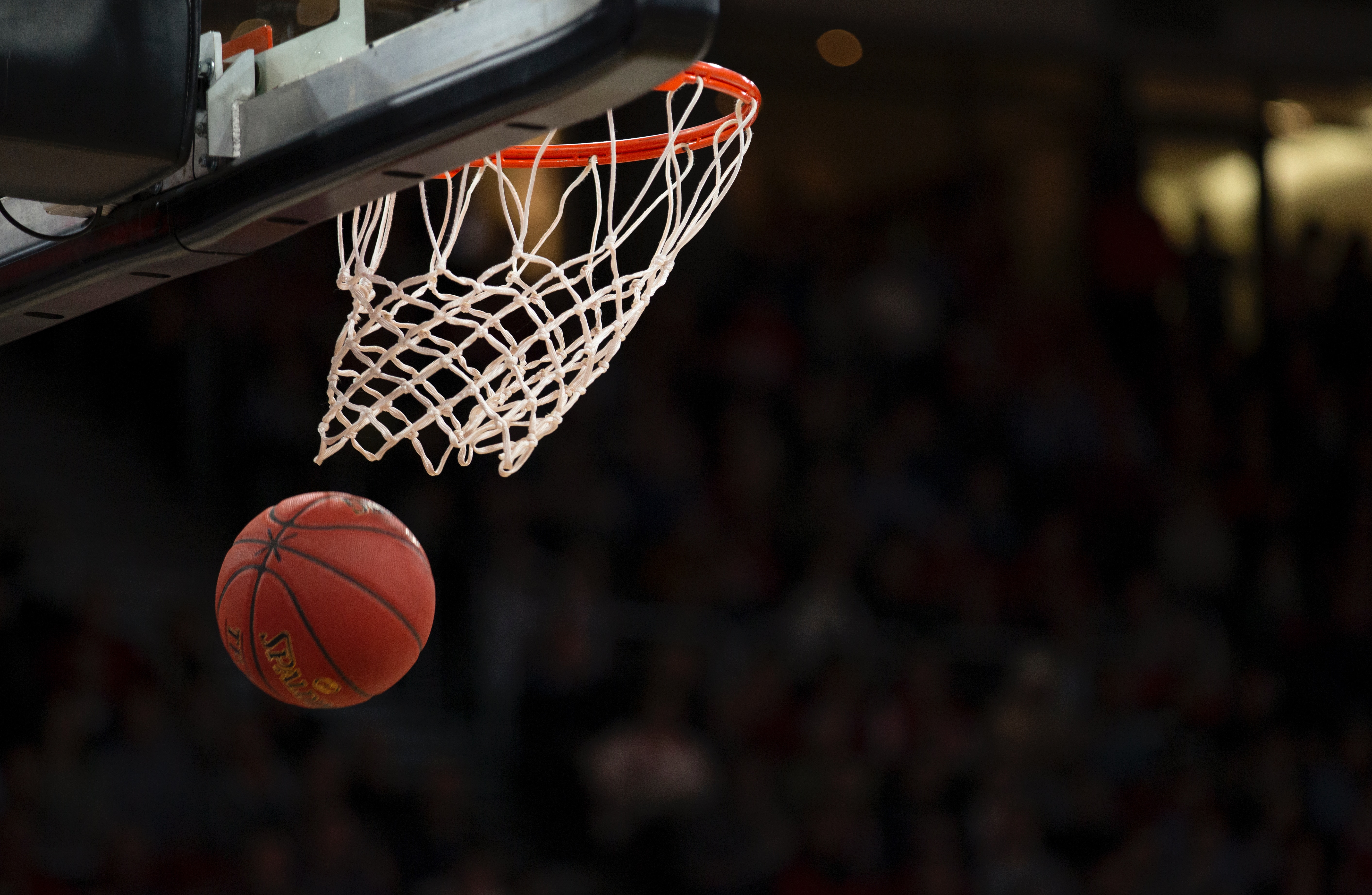 56 Basketball Business Ideas You Can Start Today [2025] - Starter