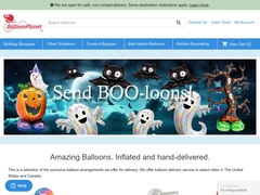 How I Started A $20K/Month Balloon Installations And Decorations