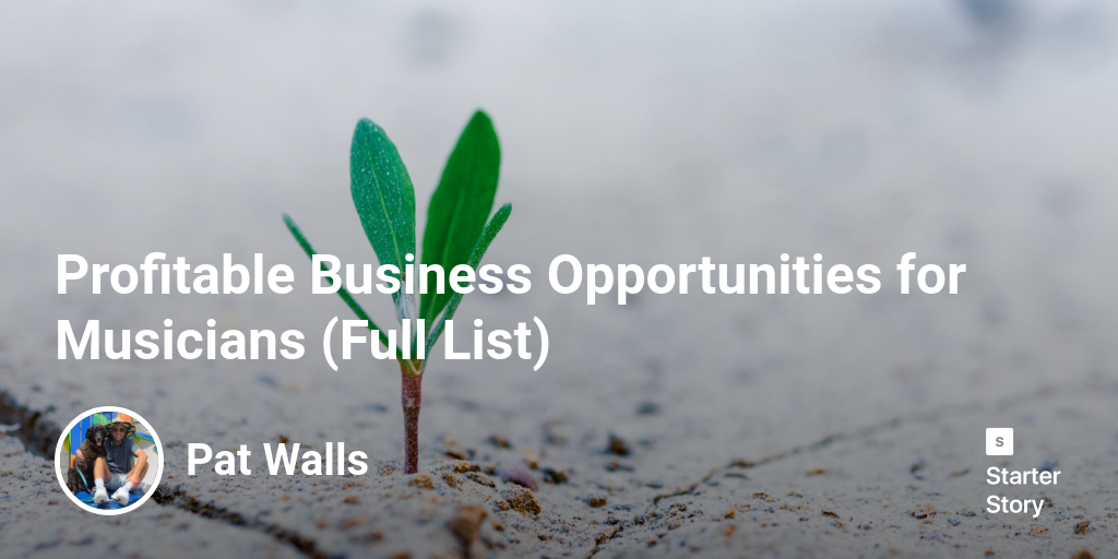 28 Profitable Business Opportunities for Musicians (Full List)