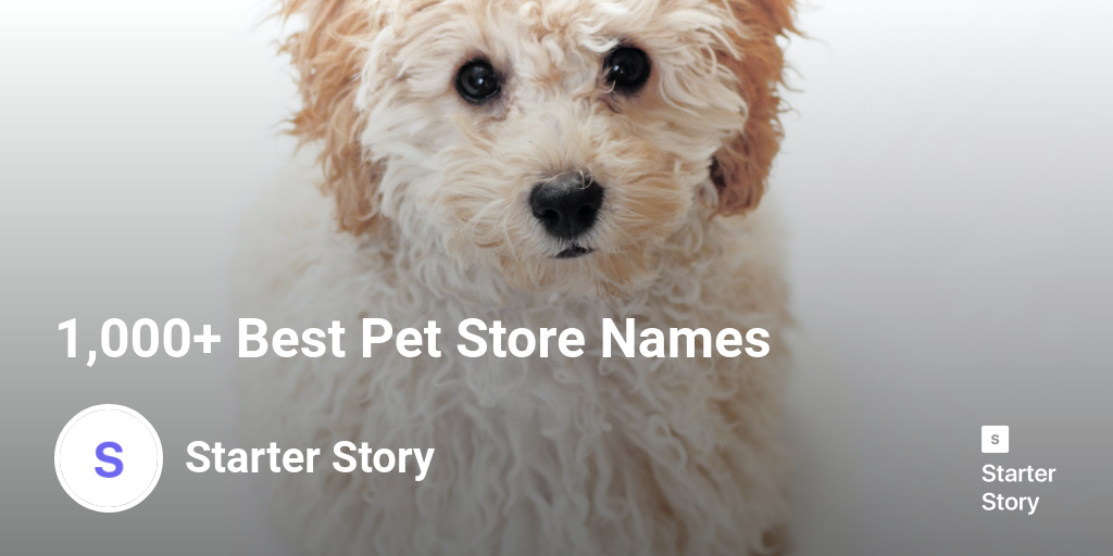 1,000+ Best Pet Store Names - Starter Story