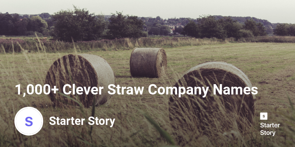 1,000+ Clever Straw Company Names - Starter Story