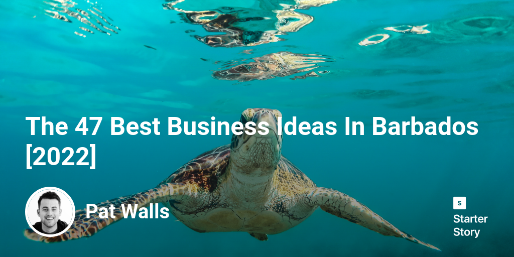 The 49 Best Business Ideas In Barbados [2024] - Starter Story