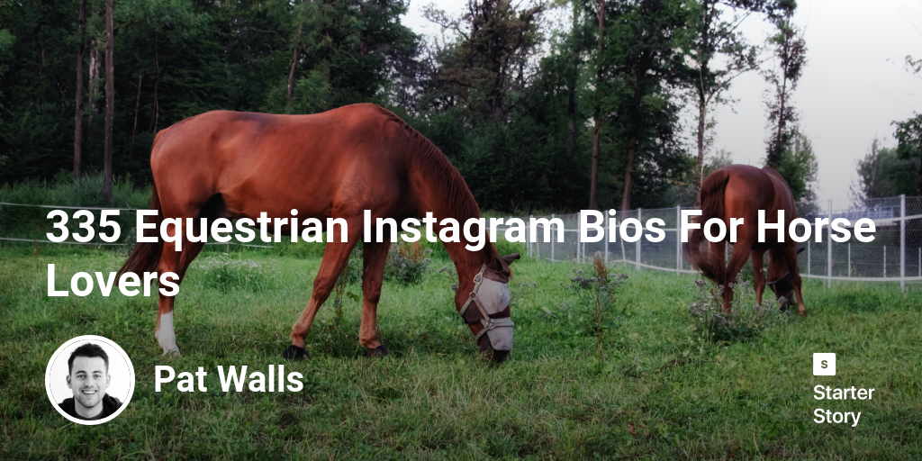 335 Equestrian Instagram Bios For Horse Lovers - Starter Story