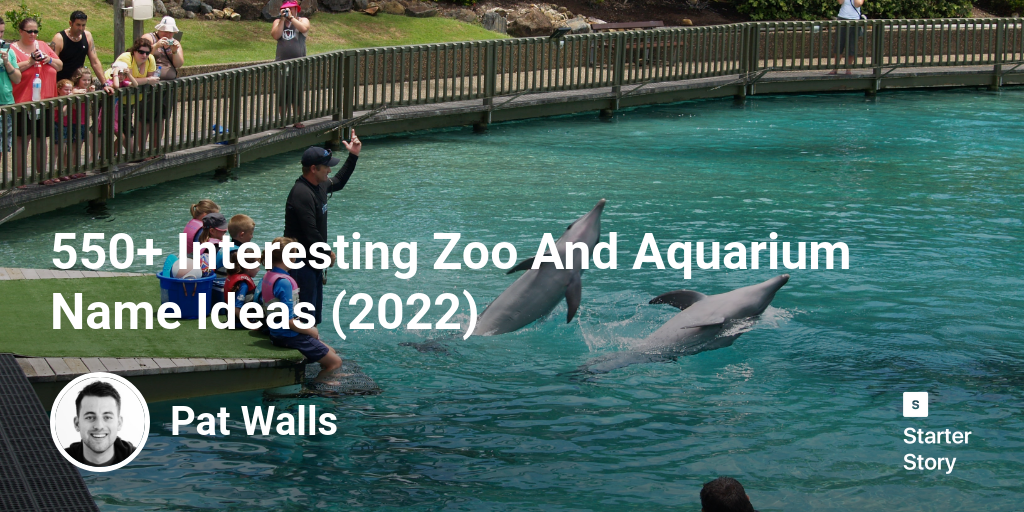 550+ Interesting Zoo And Aquarium Name Ideas (2024) - Starter Story