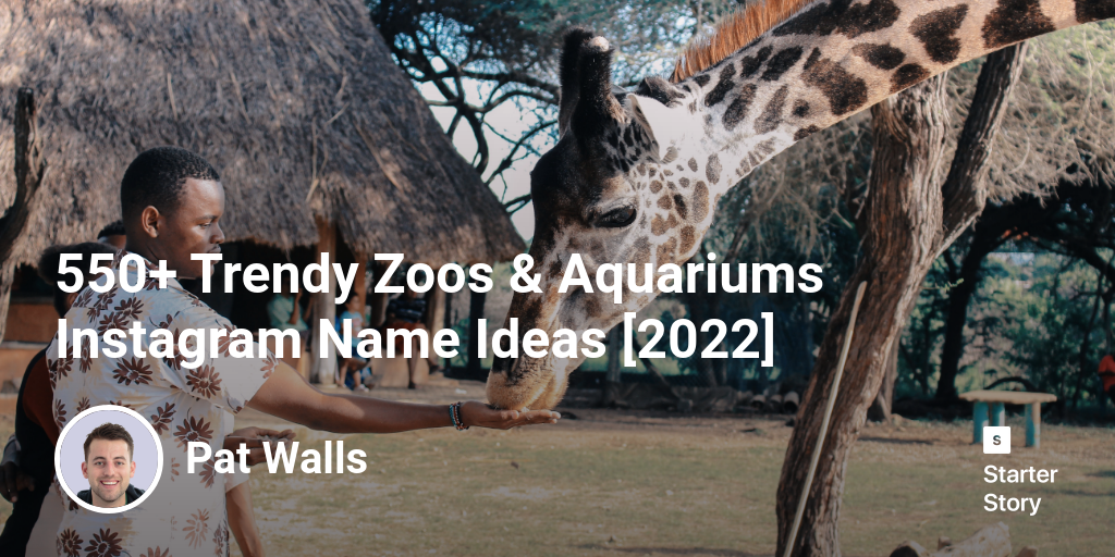 550+ Trendy Zoos & Aquariums Instagram Name Ideas [2024] - Starter