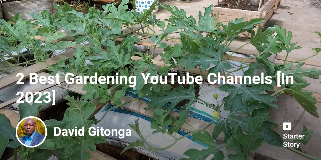 15 Best Gardening YouTube Channels [In 2024] - Starter Story