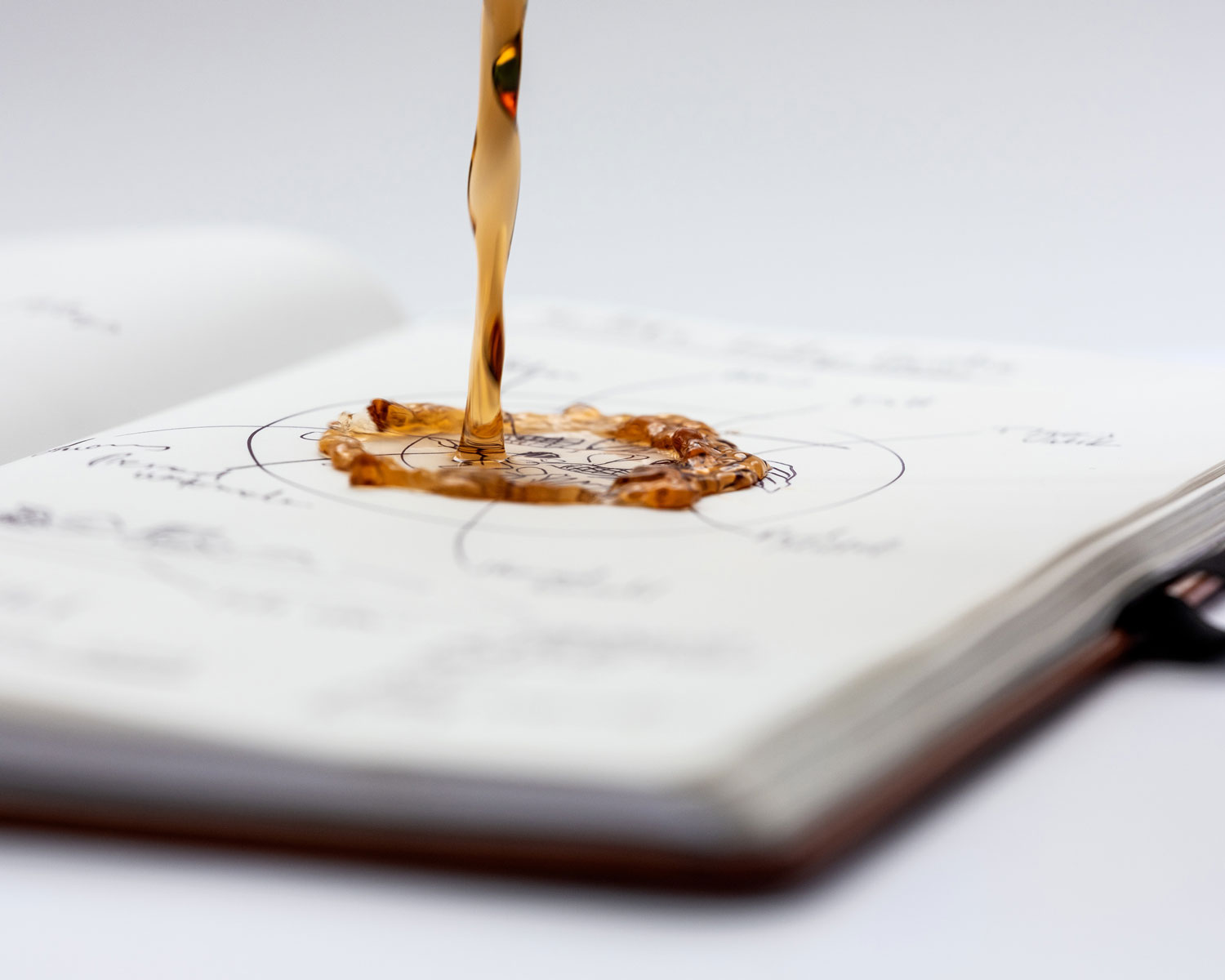 How We Launched A Notebook For Chefs That Went Viral On Kickstarter