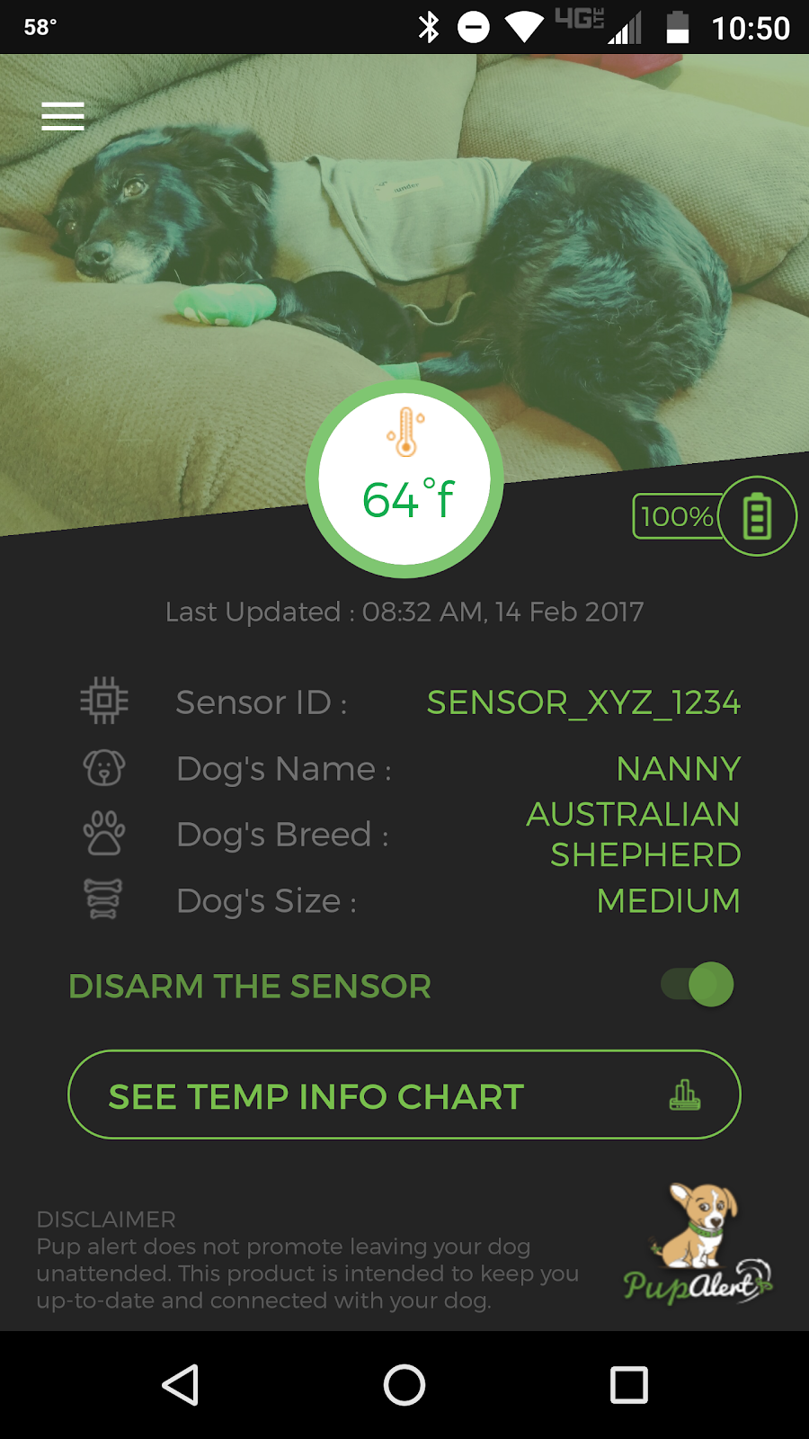 How I Created And Launched A Fitbit For Dogs - Starter Story