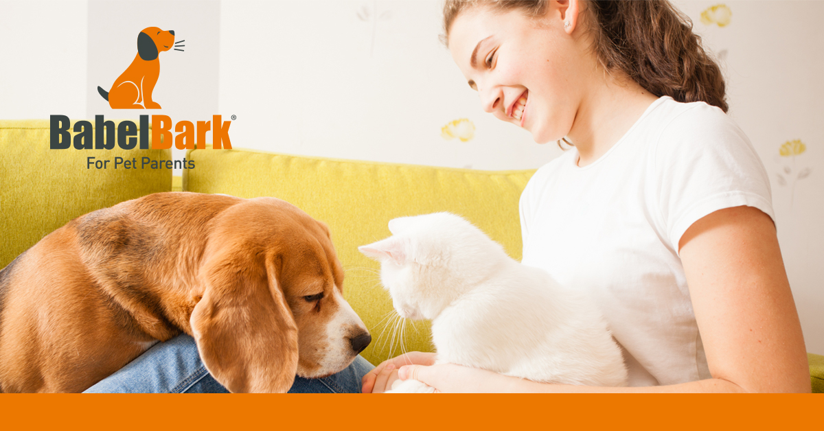 How A Simple Idea Turned Into A Pet Platform With Thousands Of Users