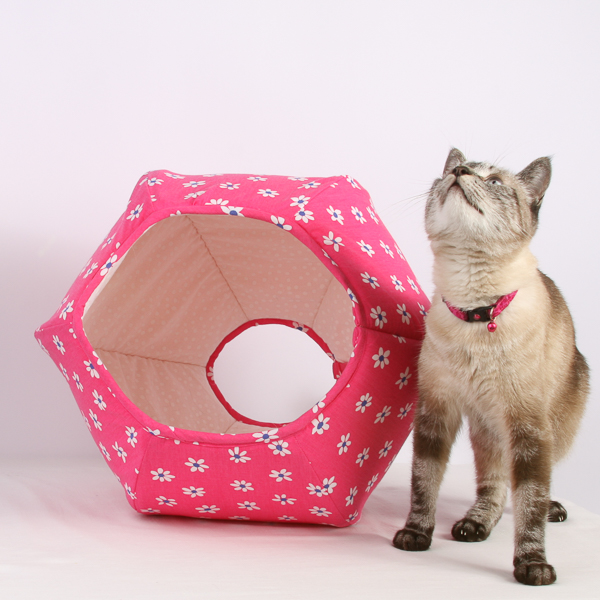 On Creating Modern Cat Bed Designs - Starter Story