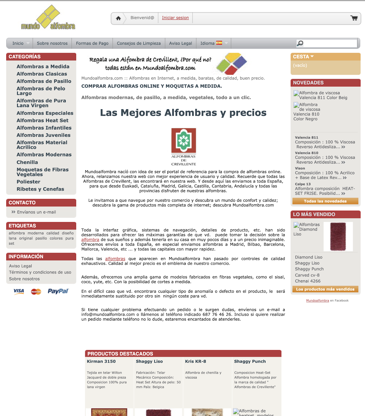 How We Started Selling Rugs And Carpets Online In The Early 2000s