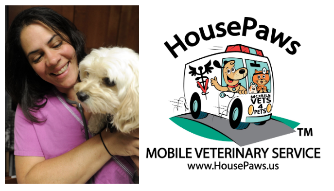 How We Started A Mobile Veterinary Service Serving Our Community