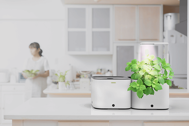 How We Launched A $165K/Month Automated Home Growing Box - Starter